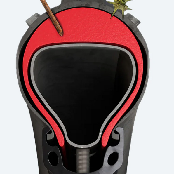 Discover bike Galore in Tempe, AZ